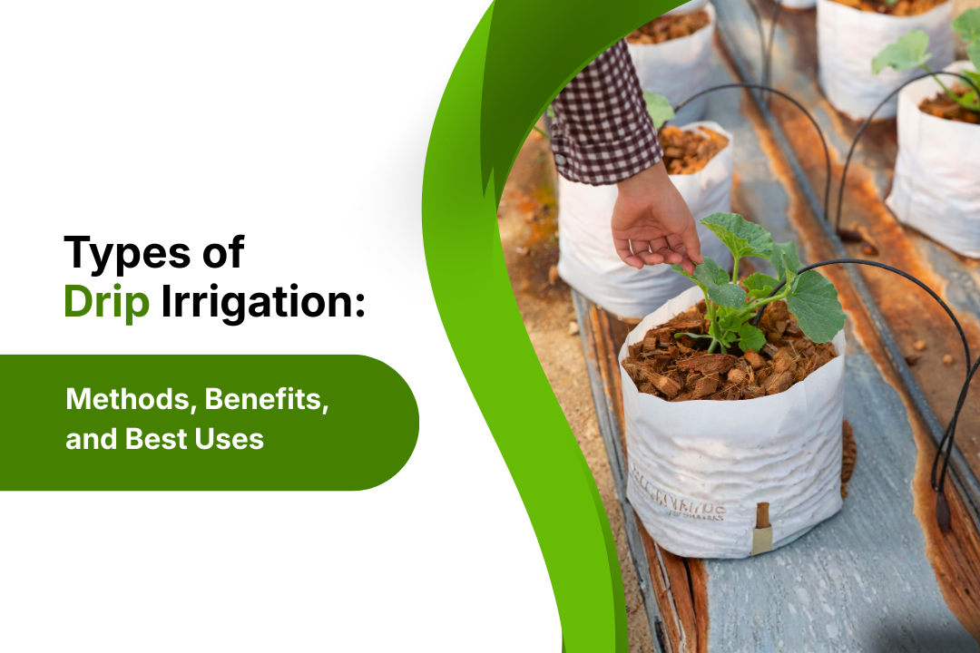 Agro Chem Federation of India